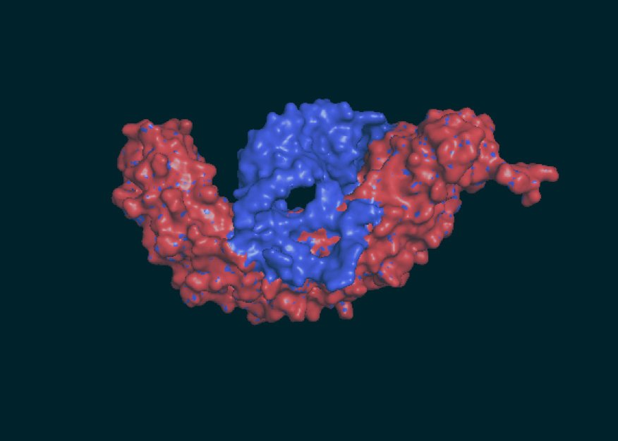 Biogenes Technologies | Our Story